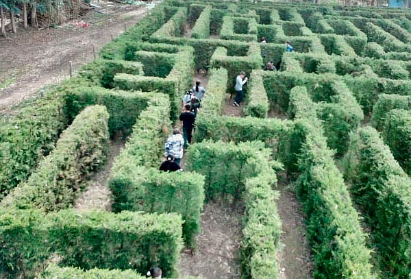 Entrada a Laberinto y Granja Educativa San | Cuponatic