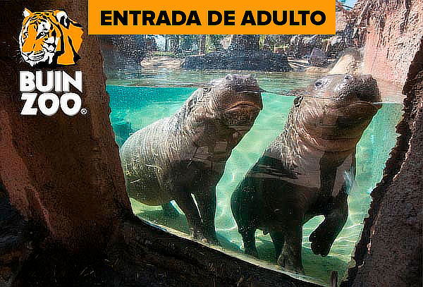 Entrada Buin Zoo para Niño Sabado o Domingo | Cuponatic